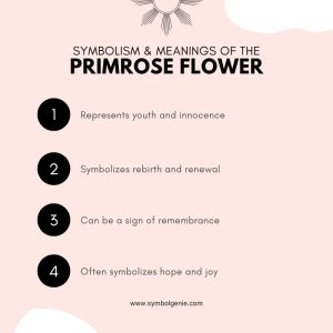 Primrose Flower: Symbolism, Meanings, and History - Symbol Genie