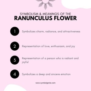 Ranunculus Flower: Symbolism, Meanings, and History - Symbol Genie