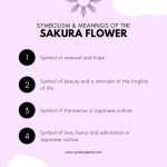 Sakura Flower: Symbolism, Meanings, and History - Symbol Genie