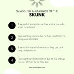 Skunk: Symbolism, Meanings, and History - Symbol Genie