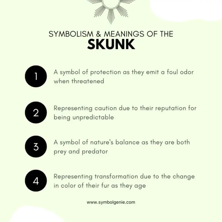 Skunk: Symbolism, Meanings, and History - Symbol Genie