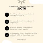 Sloth: Symbolism, Meanings, and History - Symbol Genie