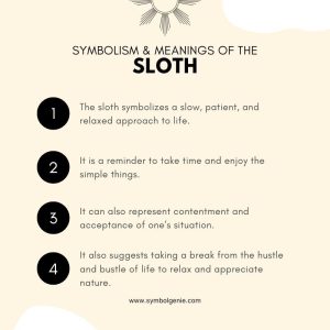 Sloth: Symbolism, Meanings, and History - Symbol Genie
