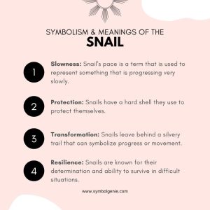 Snail: Symbolism, Meanings, and History - Symbol Genie