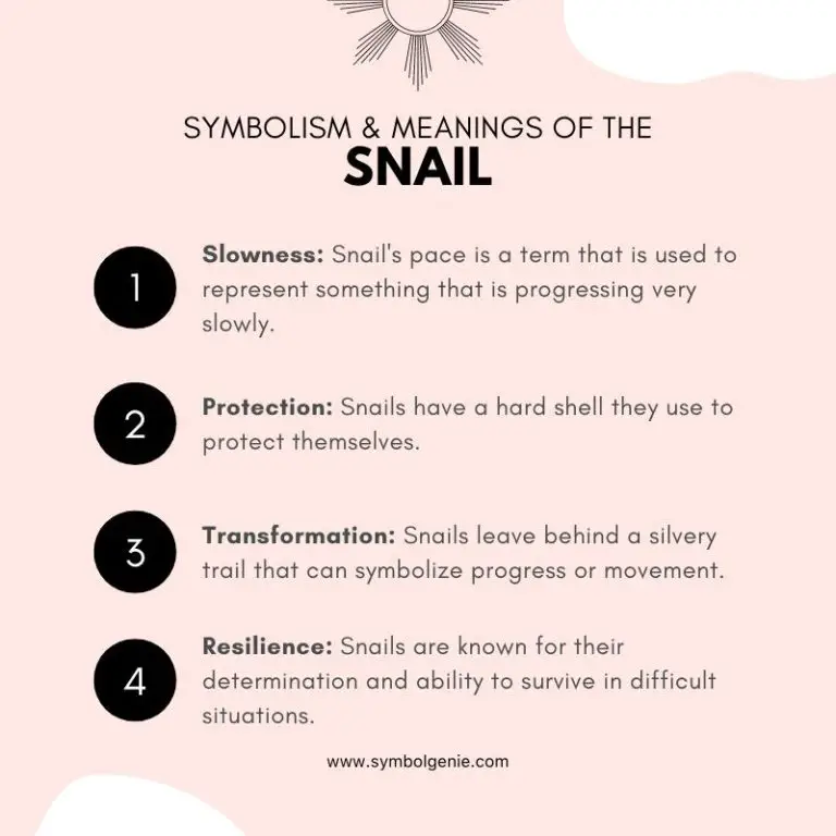 Snail: Symbolism, Meanings, and History - Symbol Genie