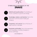 Snake: Symbolism, Meanings, and History - Symbol Genie