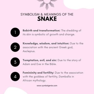 Snake: Symbolism, Meanings, and History - Symbol Genie