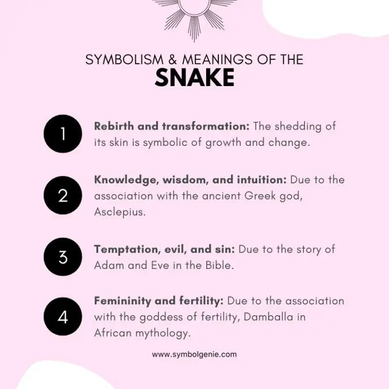Snake: Symbolism, Meanings, and History - Symbol Genie