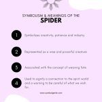 Spider: Symbolism, Meanings, and History - Symbol Genie