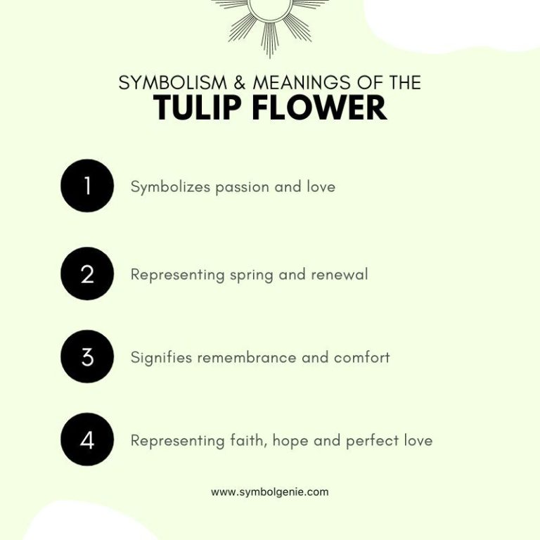 Tulip Flower: Symbolism, Meanings, and History - Symbol Genie