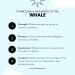 Whale: Symbolism, Meanings, and History - Symbol Genie