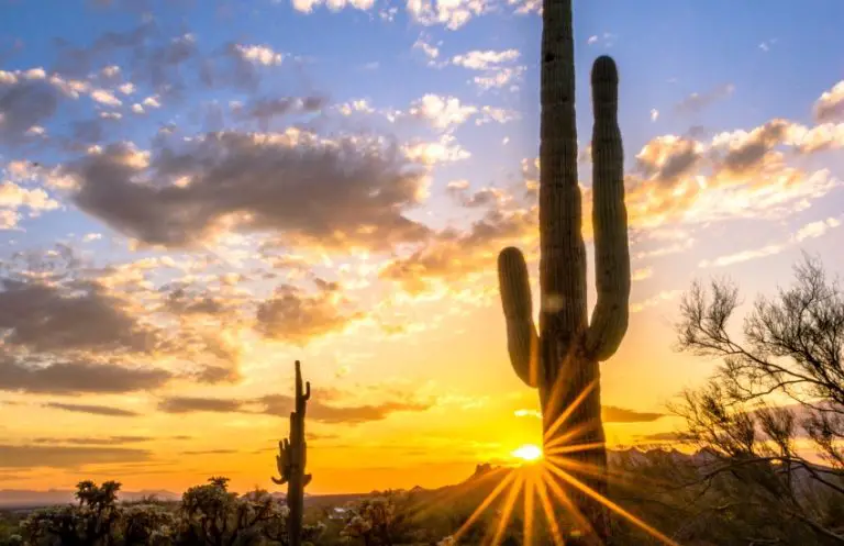 Arizona Symbols: History And Meanings - Symbol Genie