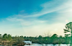 Alabama Symbols: History And Meaning - Symbol Genie