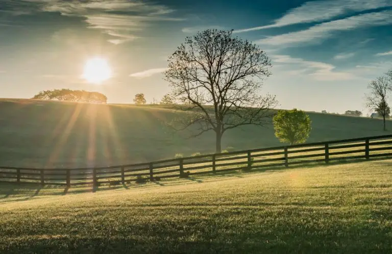 Kentucky Symbols: History And Symbolism - Symbol Genie