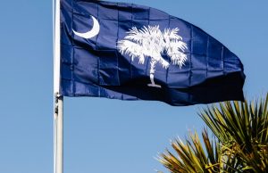 South Carolina Flag Meaning: History And Symbolism - Symbol Genie