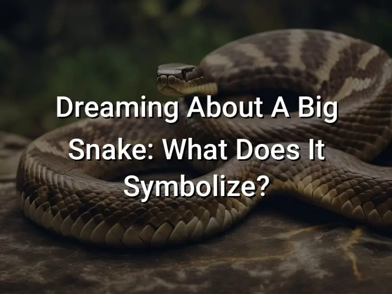 Dreaming About A Big Snake: What Does It Symbolize? - Symbol Genie