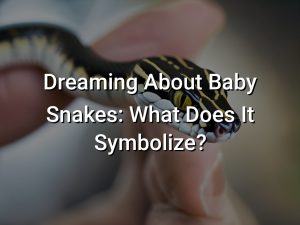 Dreaming About Baby Snakes: What Does It Symbolize? - Symbol Genie