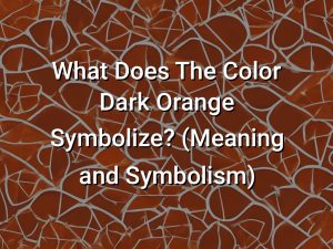 What Does The Color Dark Orange Symbolize (Meaning and Symbolism ...