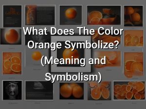 What Does The Color Orange Symbolize (Meaning and Symbolism) - Symbol Genie
