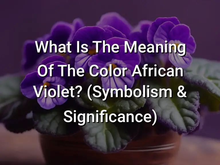 What Is The Meaning Of The Color African Violet? (Symbolism ...