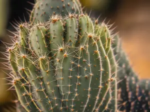 Cactus Meaning and Symbolism: Understanding the Significance - Symbol Genie