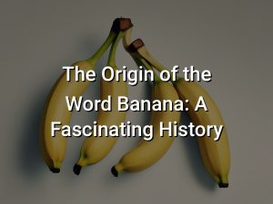 The Origin of the Word Banana: A Fascinating History - Symbol Genie